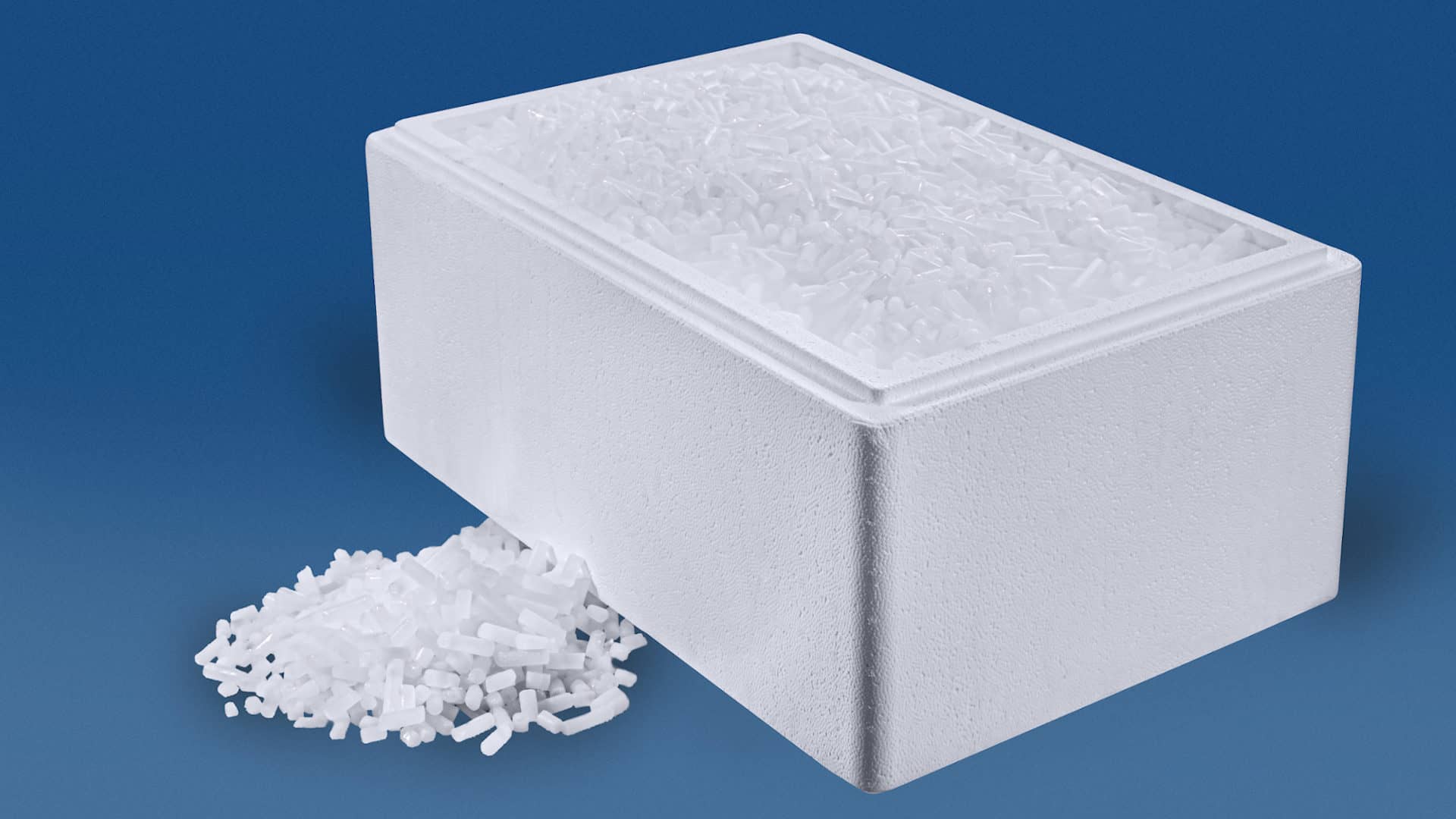 Trockeneis Nuggets 20 kg online bestellen | Trockeneis Shop