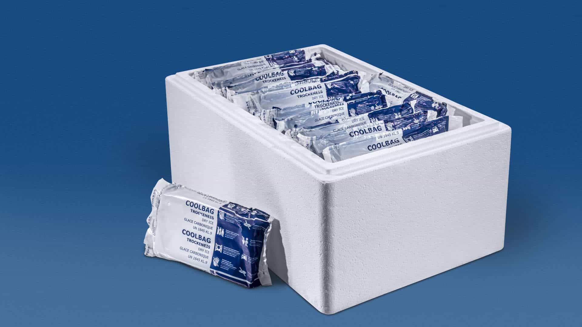 Trockeneis Coolbags 15 kg | Trockeneis Shop