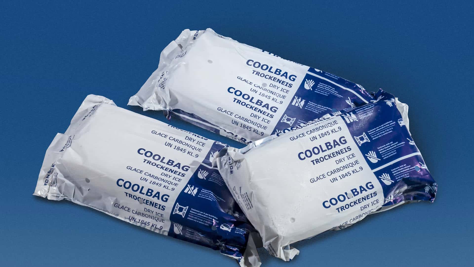 Trockeneis Coolbags 15 kg | Trockeneis Shop